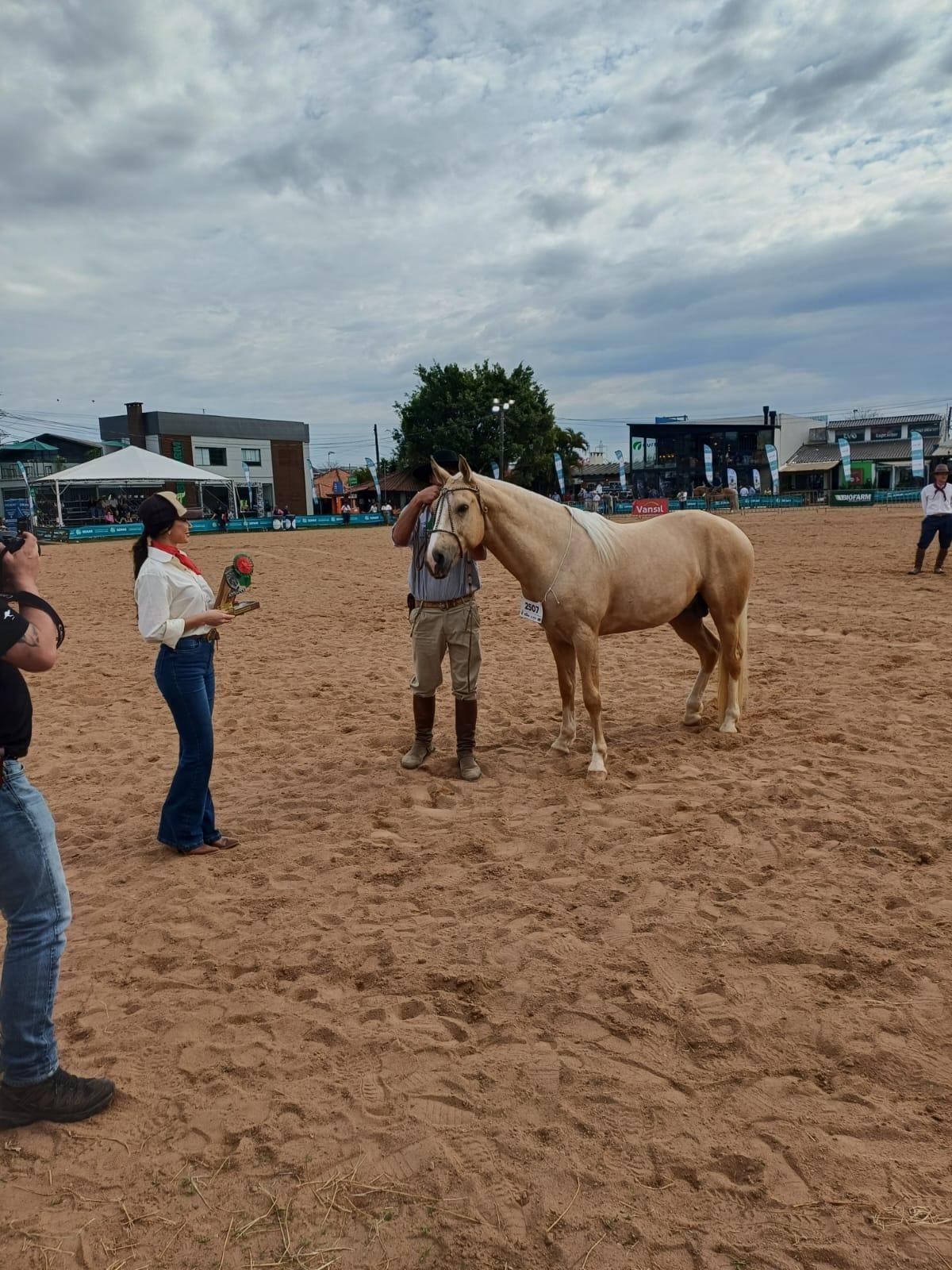 Potro de Alfredo Wagner conquista título na categoria Cavalo Campeiro ...