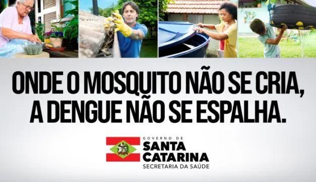 SC tem 143 municípios infestados pelo mosquito Aedes aegypti ...